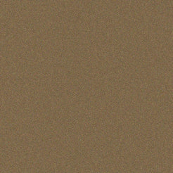 ELECTRO™ - SENSATIONAL CHAMPAGNE K - Flat – ACT Powder Coating Services